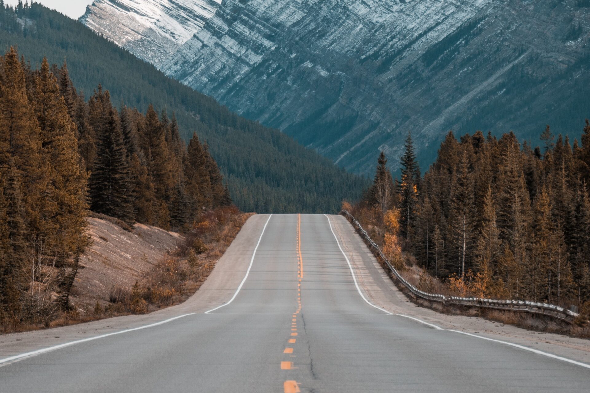mark-basarab-z8ct_Q3oCqM-unsplash2 | ラムールトゥジュール